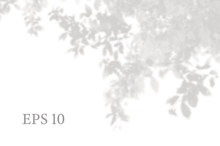 Apple Vector Images (over 230,000)