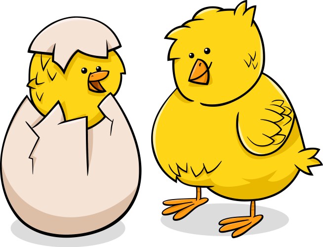 Cute baby chicks cartoon Royalty Free Vector Image