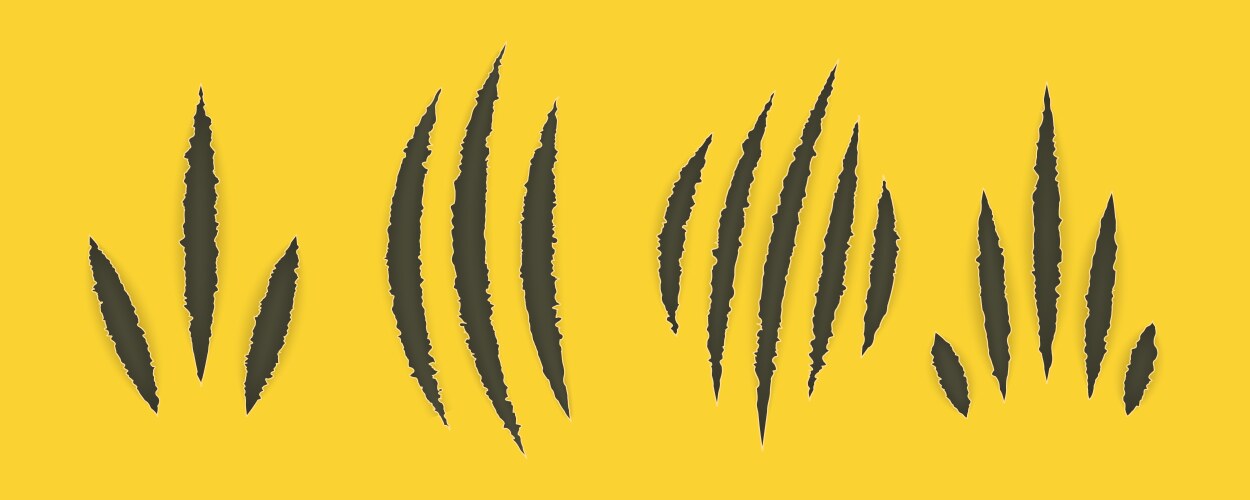 Claw Marks Vector Images (over 3,300)