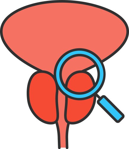 Prostate Cartoon Vector Images (over 440)