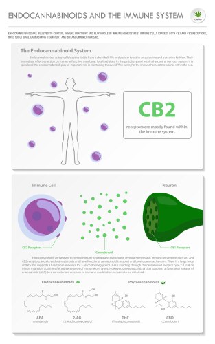 Entourage Vector Images (over 660)