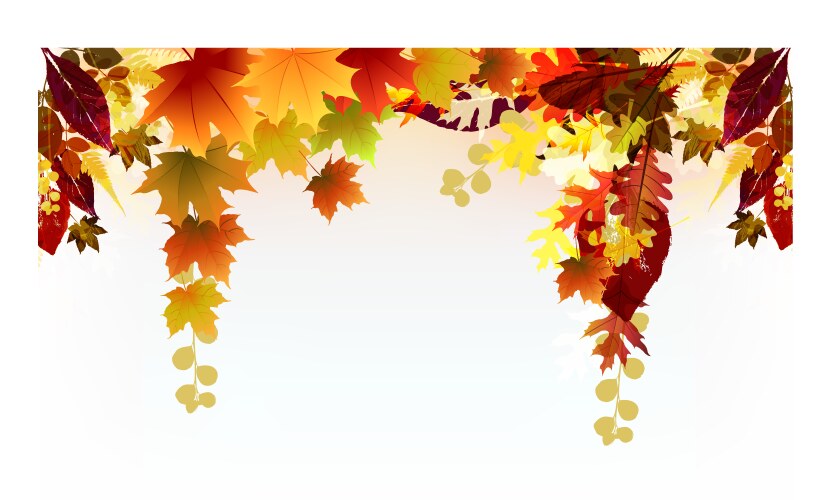 Fall leaves Royalty Free Vector Image - VectorStock