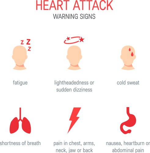 Lyme disease symptoms information infographic Vector Image