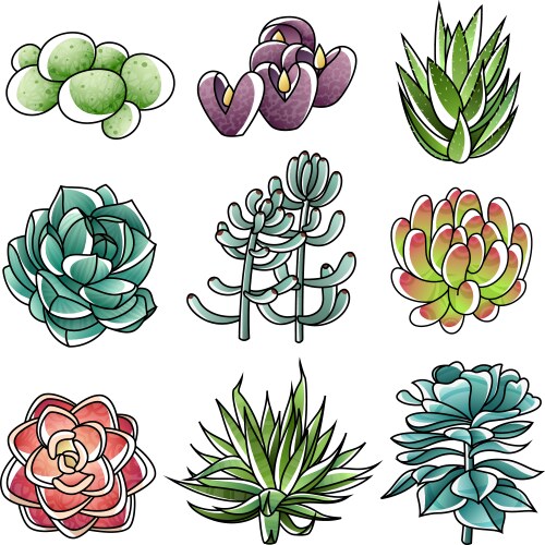 Cartoon cute succulents in pot Royalty Free Vector Image