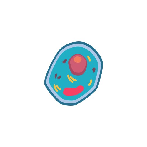 Cell Nucleus Cartoon Animal Cell Anatomy Stock Vector. Illustration Of