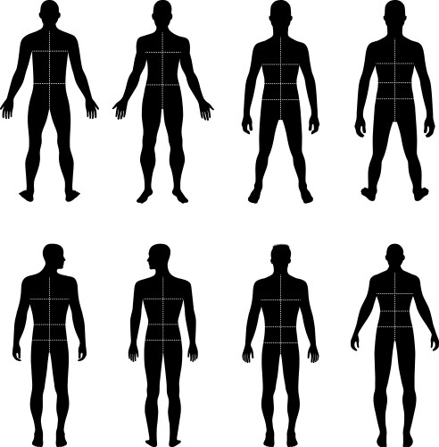 Human Body Front Back Outline Vector Images (over 650)