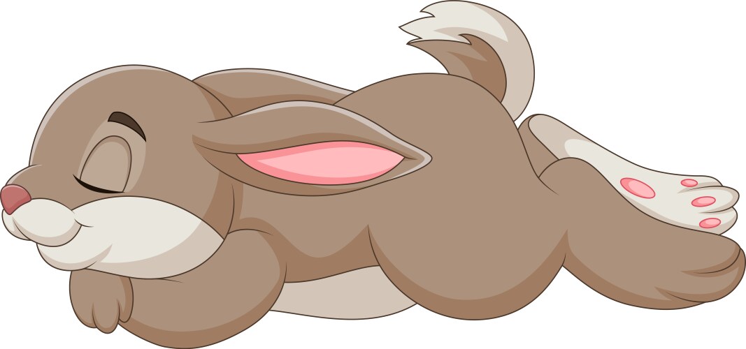 Cartoon rabbit isolated on white background Vector Image