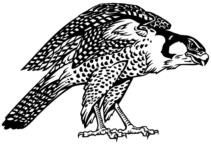 Falcon symbol of horus Royalty Free Vector Image