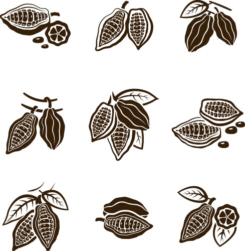 Cocoa Vector Images (over 50,000)