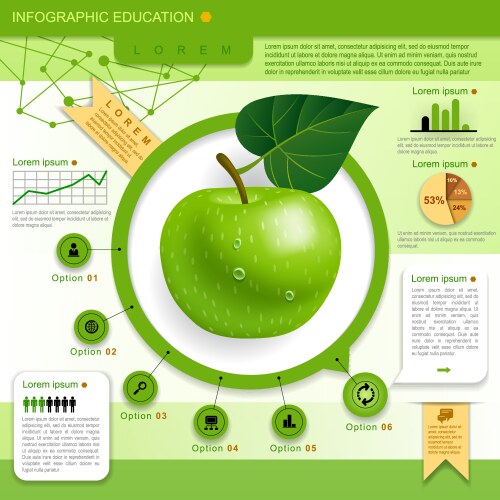 Fruits and berries infographic with charts map Vector Image