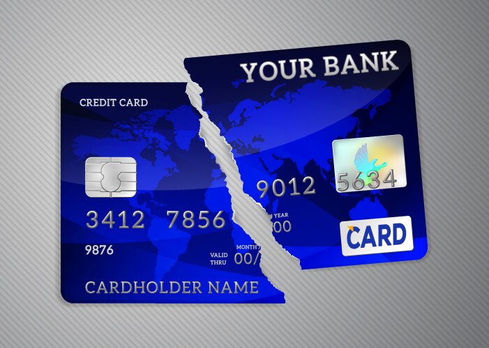 Expired Vector Images (over 8,500)