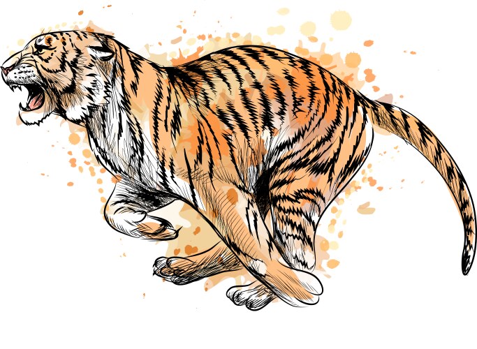 Jumping Tiger Vector