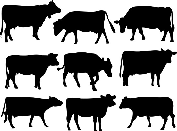 Cow Vector Images (over 120,000)