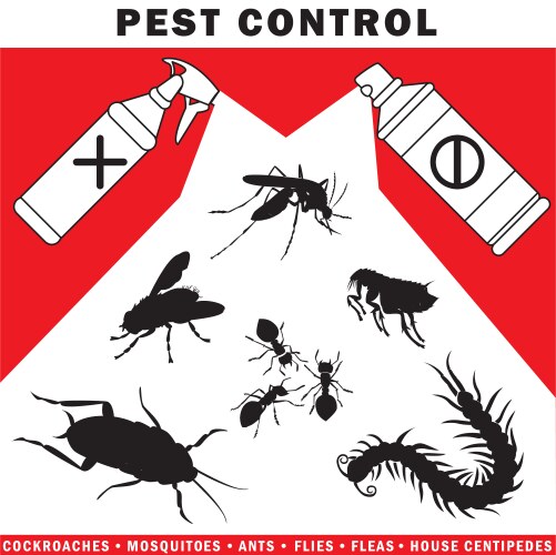Pest control icons on white background Royalty Free Vector