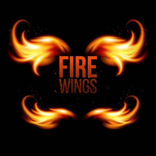 Fire wings Royalty Free Vector Image - VectorStock