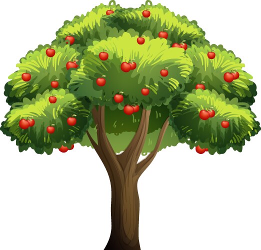 Apple tree on white background Royalty Free Vector Image