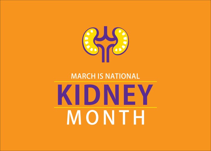 Kidney Poster Vector Images (over 1,800)