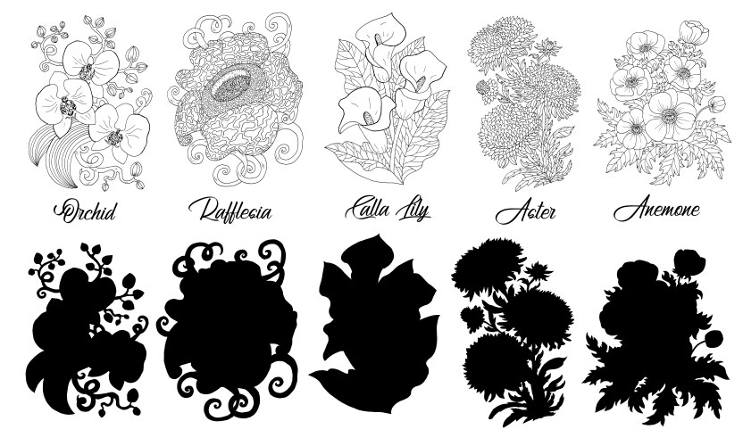 Set black and white outline flowers Royalty Free Vector