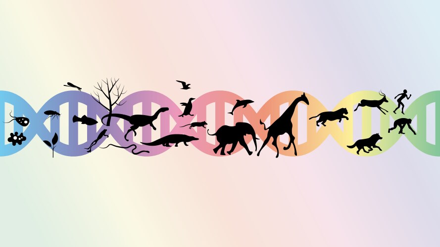 Evolution Symbol Vector Images (over 22,000)