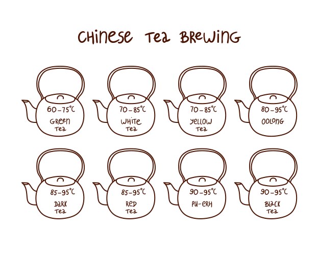 Chinese tea brewing guide in fahrenheit Royalty Free Vector