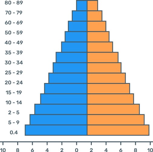 Plot population pyramid Royalty Free Vector Image