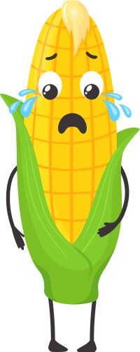 Cartoon kernels maize green corncob with leaf Vector Image