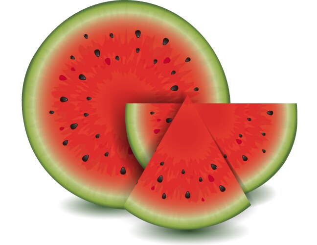 Watermelon Vector Images (over 73,000)