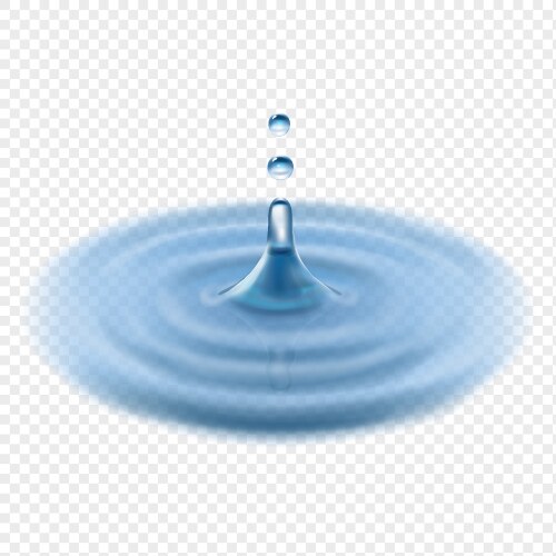 Realistic transparent drop and circle ripples set Vector Image