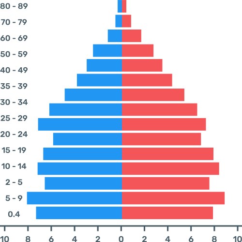 Population Pyramid Vector Images (over 230)