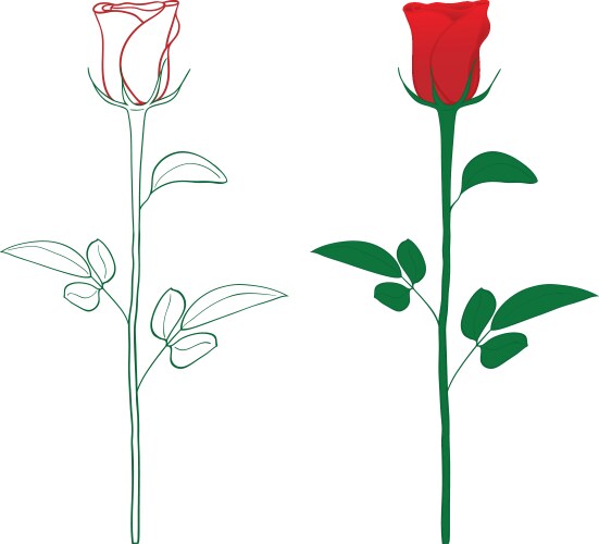 Two red roses Royalty Free Vector Image - VectorStock