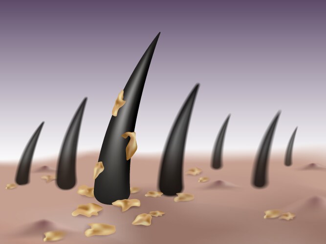 Scalp Vector Images (over 5,300)