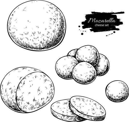 Mozzarella cheese big set Royalty Free Vector Image