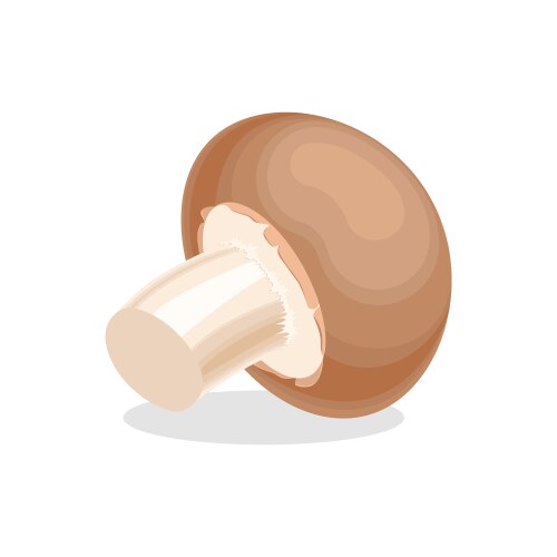 Intact Vector Images (over 8,300)