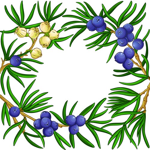 Blueberry branches frame Royalty Free Vector Image