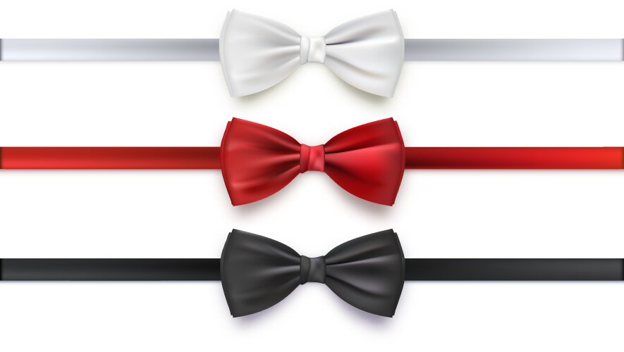 Realistic bow tie Royalty Free Vector Image - VectorStock