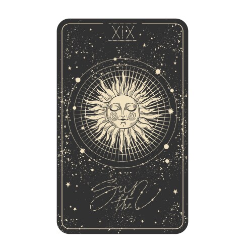 Tarot cards reverse side with esoteric and mystic Vector Image
