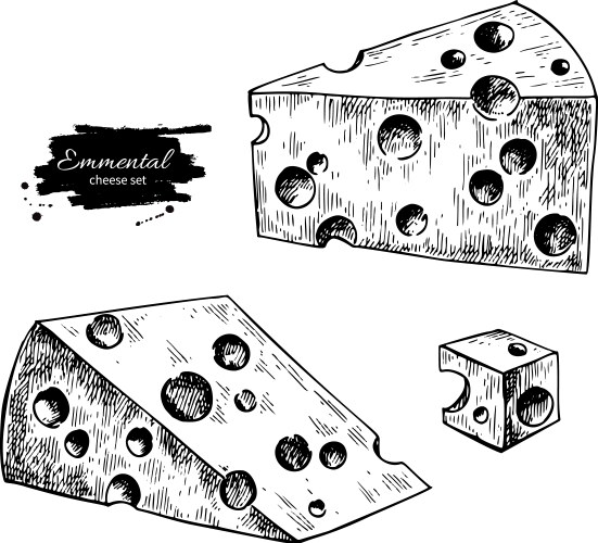Emmental cheese drawing hand drawn food sketch Vector Image