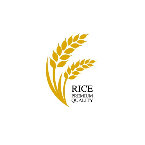 Premium rice great quality design concept Vector Image