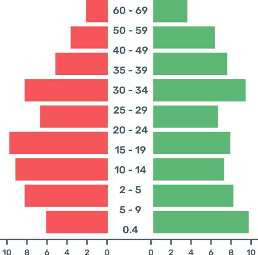 Population Pyramid Vector Images (over 230)
