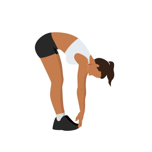 Forward Fold Vector Images (over 1,300)