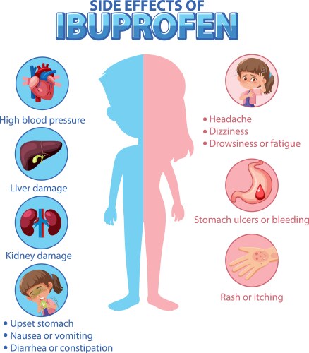 Ibuprofen Side Effects Anatomy Diagram – Royalty-Free Vector | VectorStock