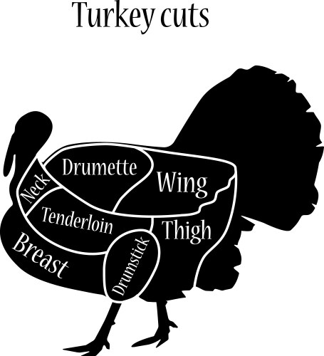 Graceful turkey in format Royalty Free Vector Image