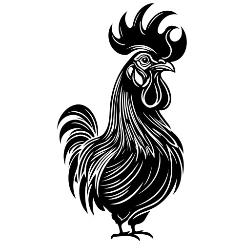 Rooster drawing outline cartoon line engraving Vector Image