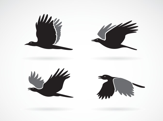 Crow Outline Vector Images (over 3,900)