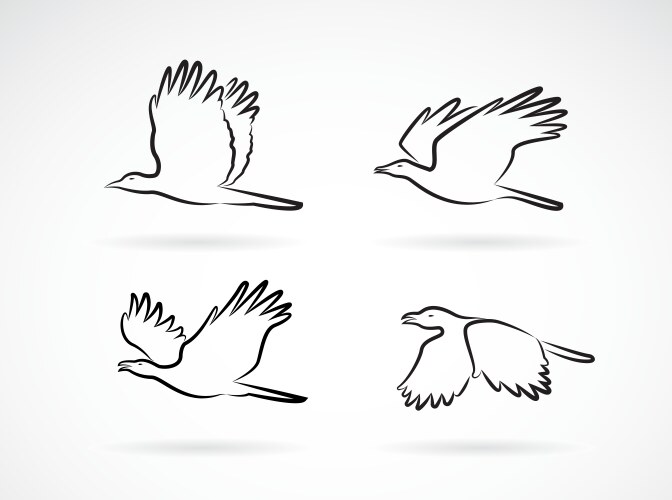 Crow Outline Vector Images (over 3,900)