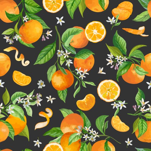 Mandarin branches botanical Royalty Free Vector Image