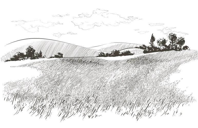 Field hand drawing sketch engraving Royalty Free Vector
