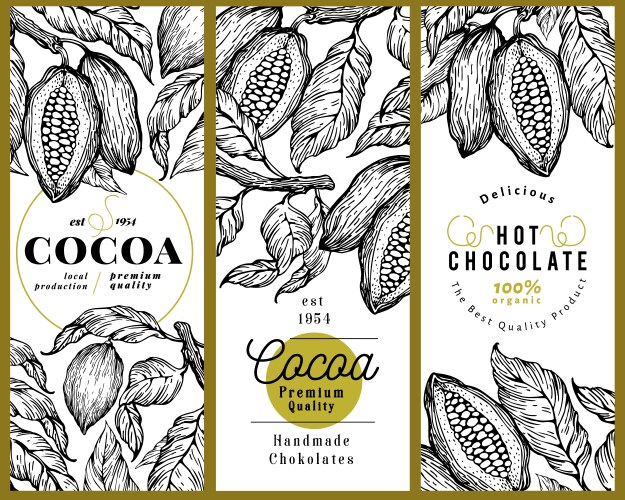 Cocoa banner template chocolate beans Royalty Free Vector