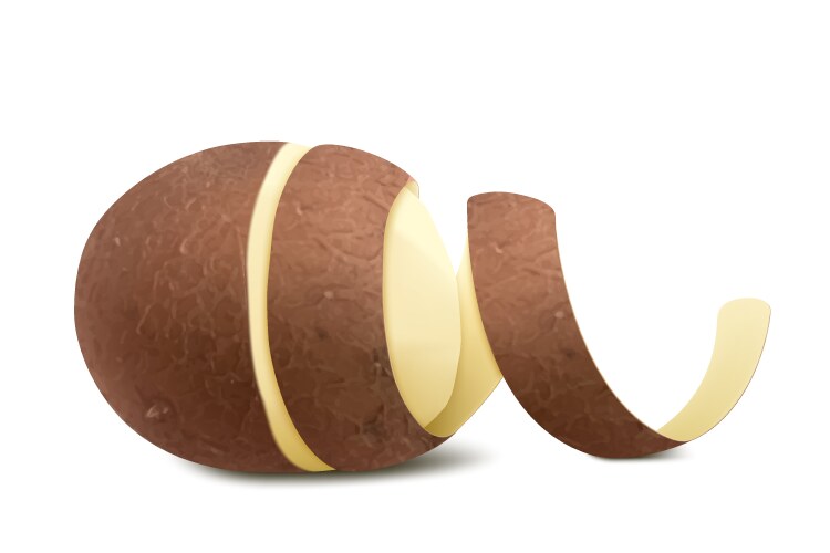 Potato Twist Vector Images (86)