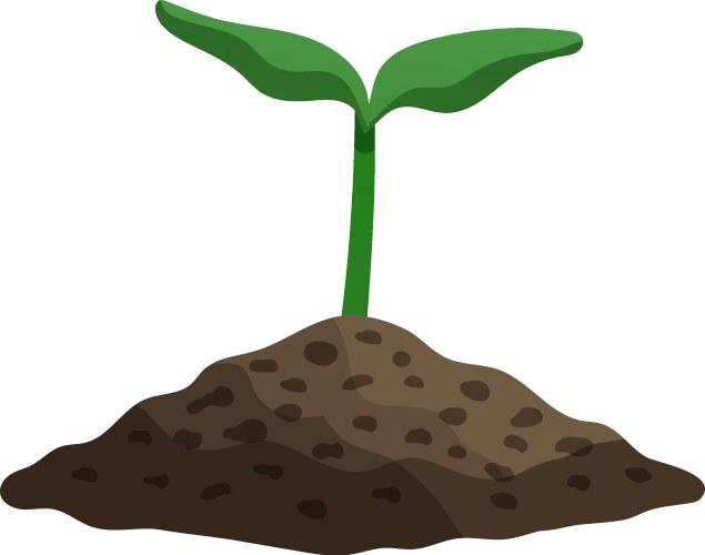 Pepper Tree Vector Images (over 1,300)